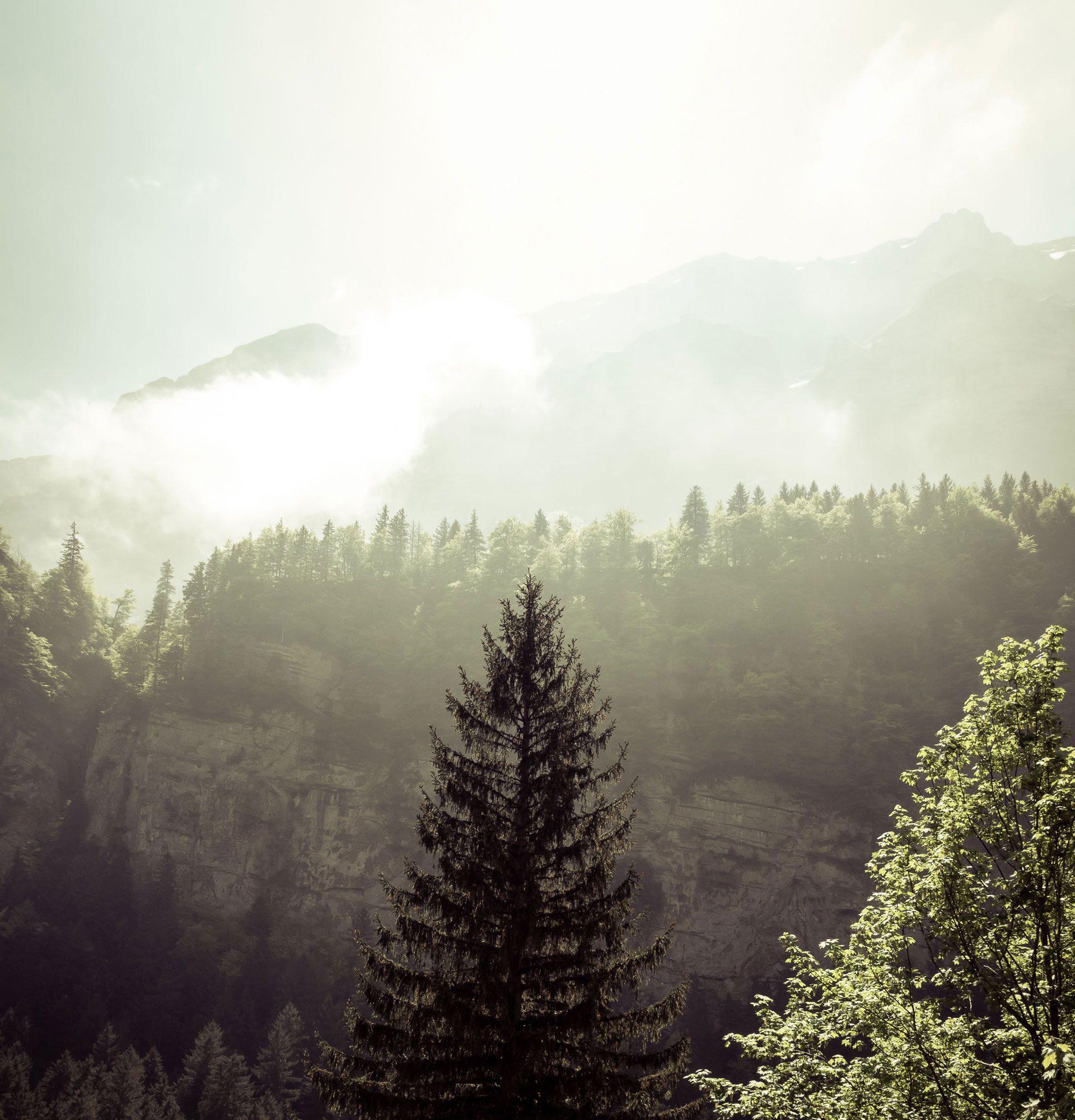 Flims 2025 FERM - Intersoc Groepsvakanties